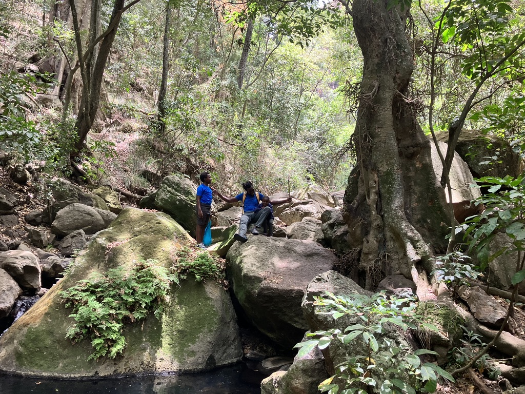 Malewa Bush Ventures Cottages & Campsite, Gilgil – CampingKE